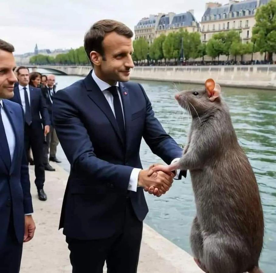 Meme e immagini simpatiche su Parigi e i francesi...